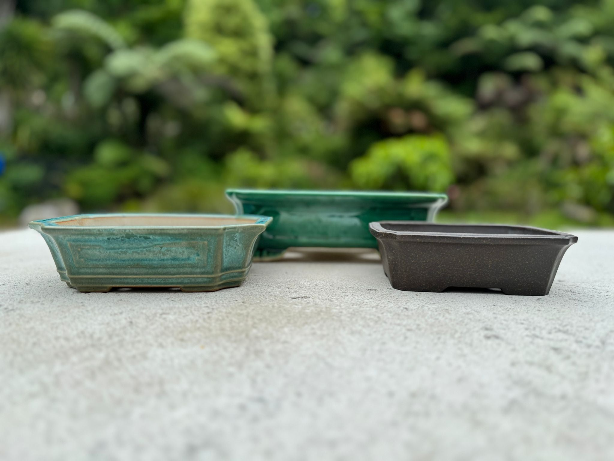 Yixing Pots for Bonsai and Plants | Saikei Zen